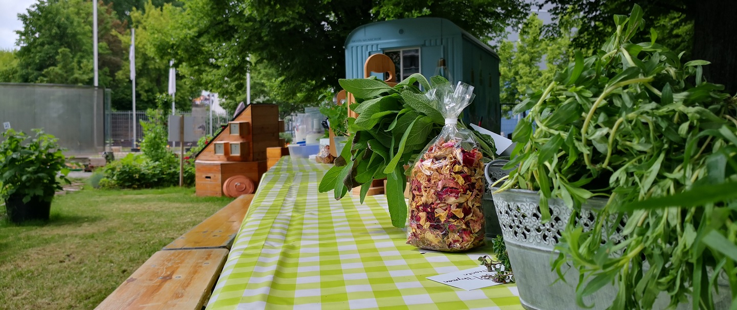 Die Stadtgärten sind wieder geöffnet